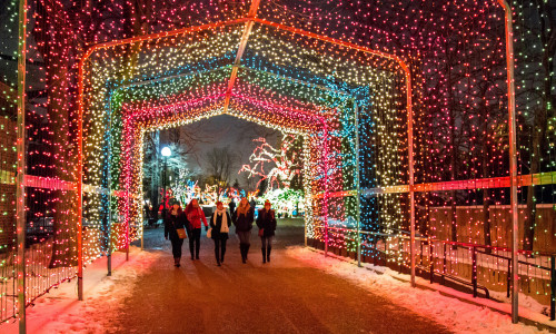 The Best Christmas Markets in Illinois | Enjoy Illinois