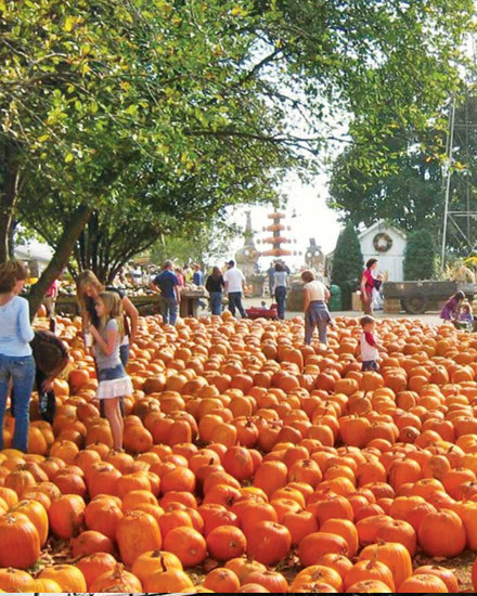 Illinois Fall Colors Trip Planner Map | Enjoy Illinois