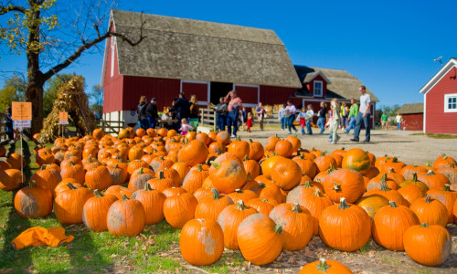 Fall in Illinois | Enjoy Illinois