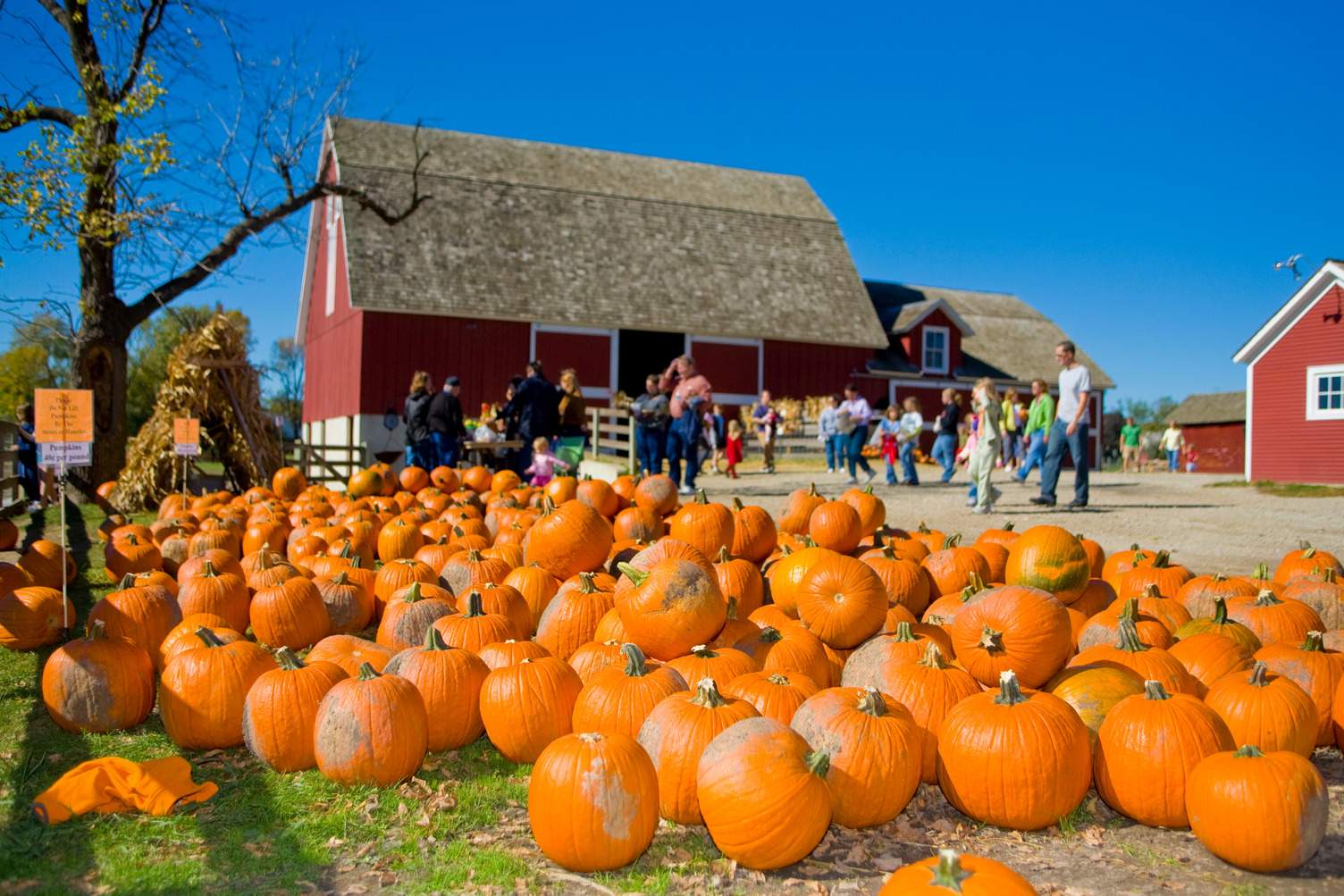 Spellbound 3 Day Fall Itinerary | Enjoy Illinois