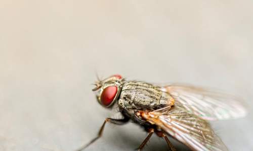 2024 Solar Eclipse Guide for Illinois | Enjoy Illinois