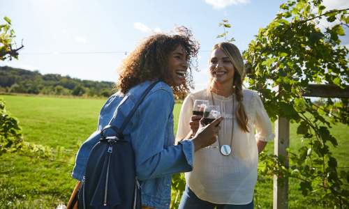 Illinois Wineries & Vineyards | Enjoy Illinois