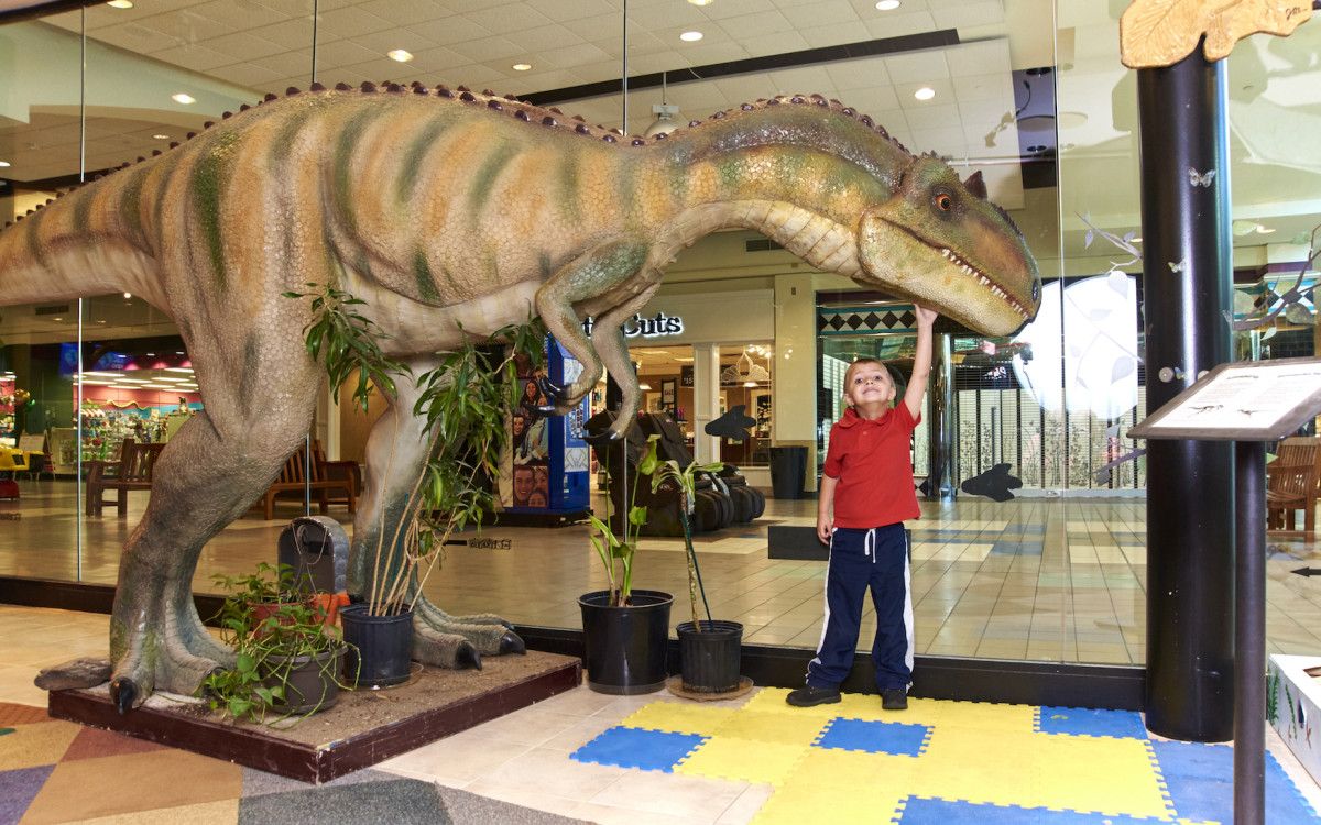 16 Children’s Museums to Visit in Illinois | Enjoy Illinois
