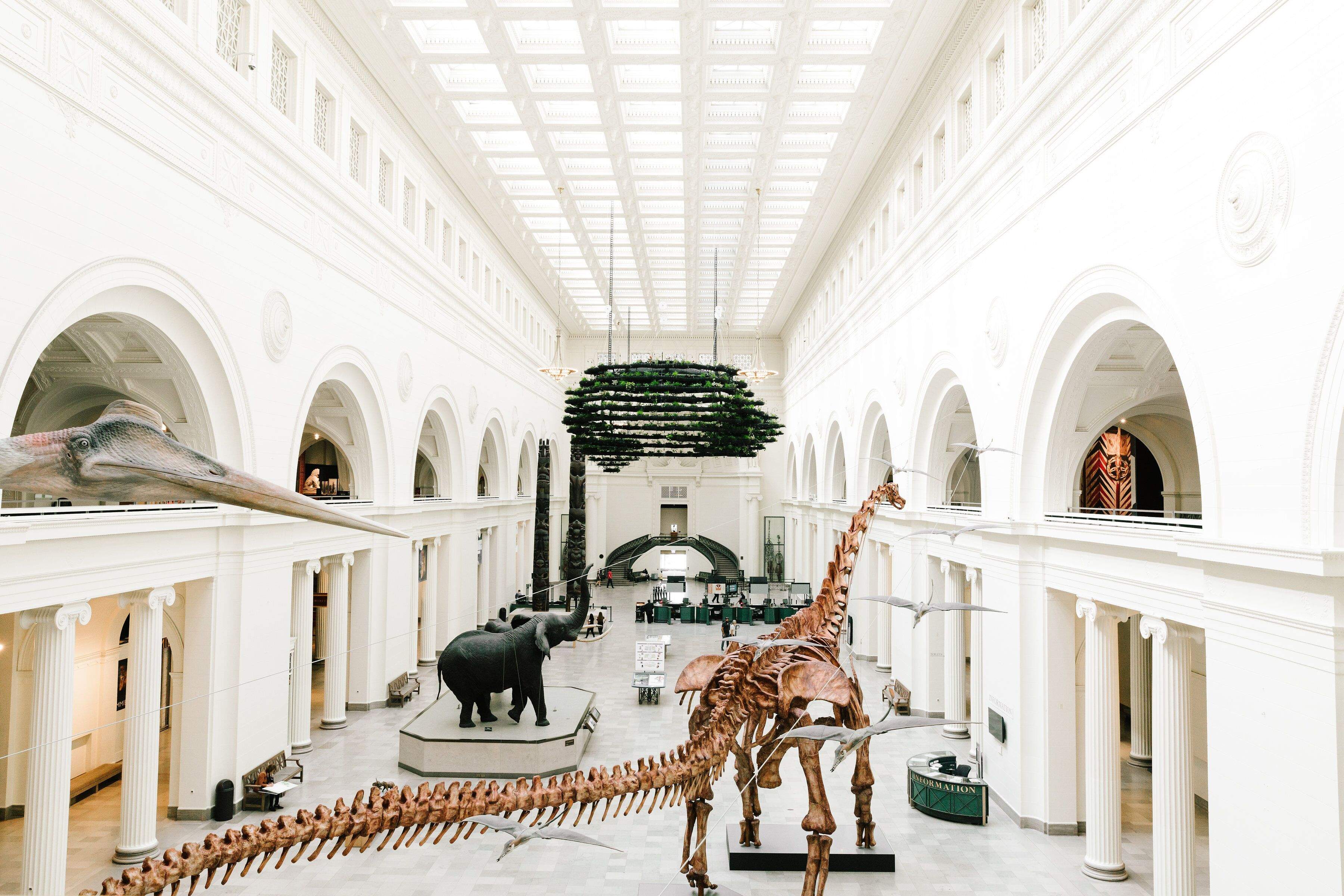 Explore Top Museums | Enjoy Illinois