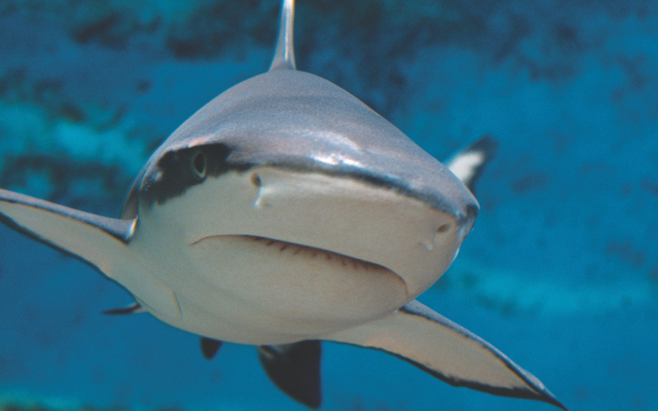 After Dark: 10 Chicago Date Night Destinations | Enjoy Illinois