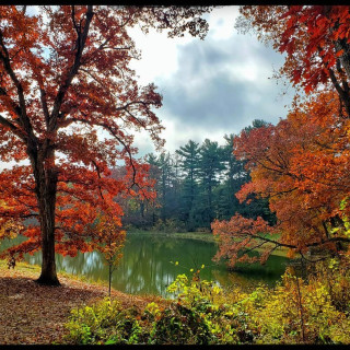 Illinois Fall Colors Trip Planner Map | Enjoy Illinois
