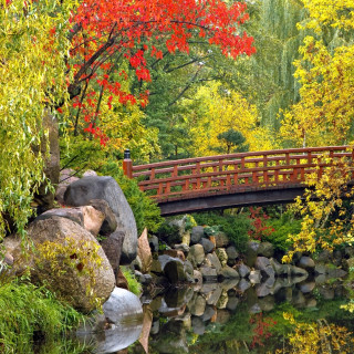 Illinois Fall Colors Trip Planner Map | Enjoy Illinois