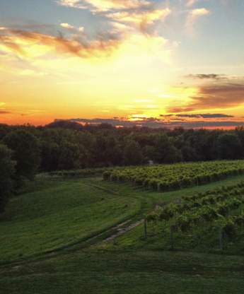 Illinois Wineries & Vineyards | Enjoy Illinois