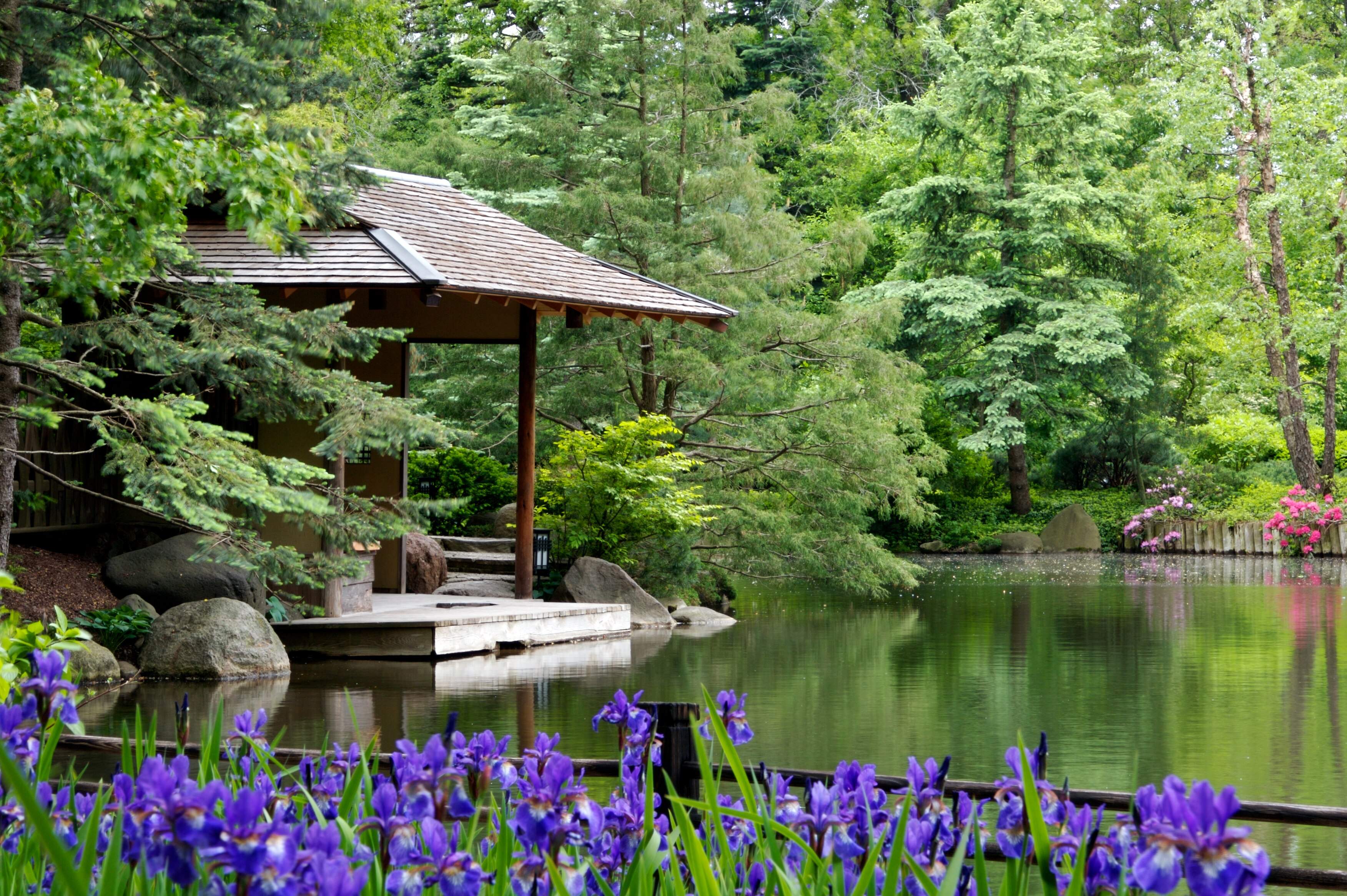 Lost in the Anderson Japanese Gardens | Rockford | Enjoy Illinois