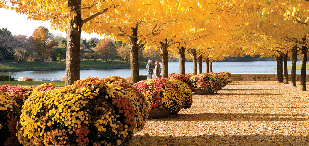 Spellbound 3 Day Fall Itinerary | Enjoy Illinois