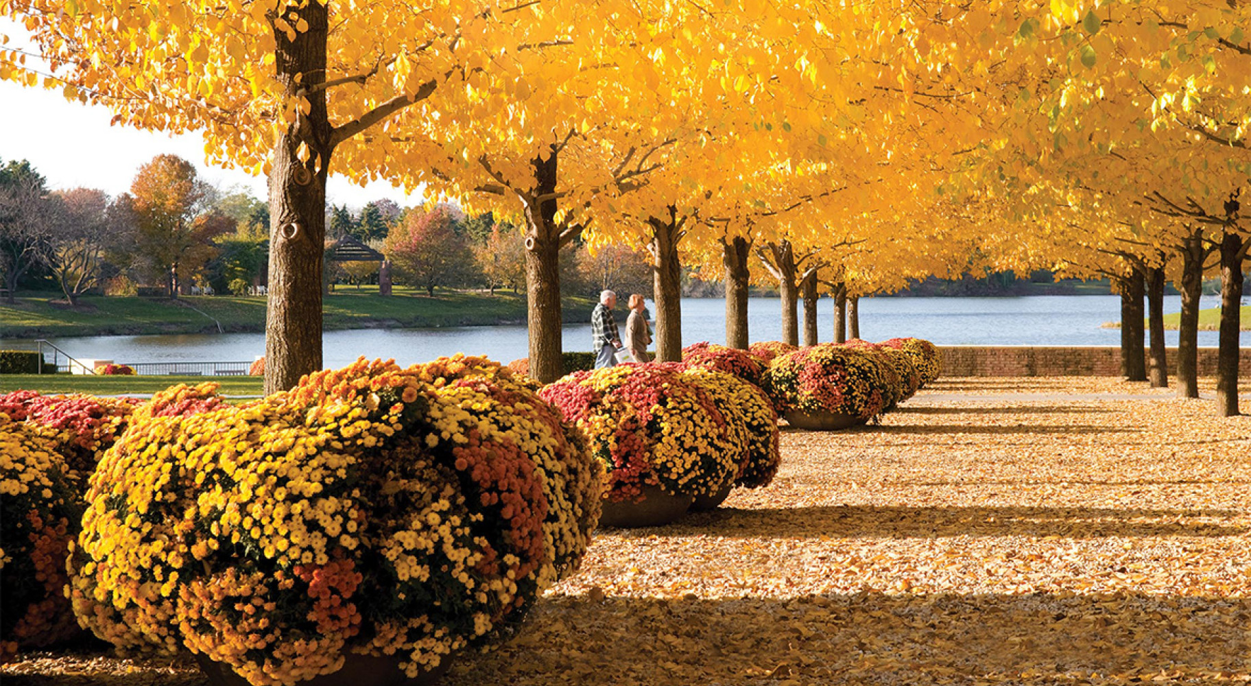 8 Illinois Autumn Adventures To Fall For | Enjoy Illinois | Enjoy Illinois