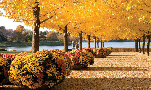 Fall in Illinois | Enjoy Illinois