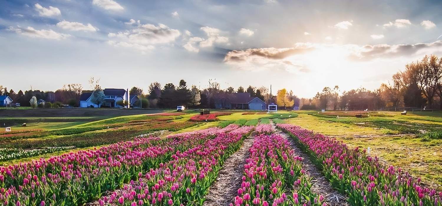 Things To Do In Illinois This Spring | Enjoy Illinois