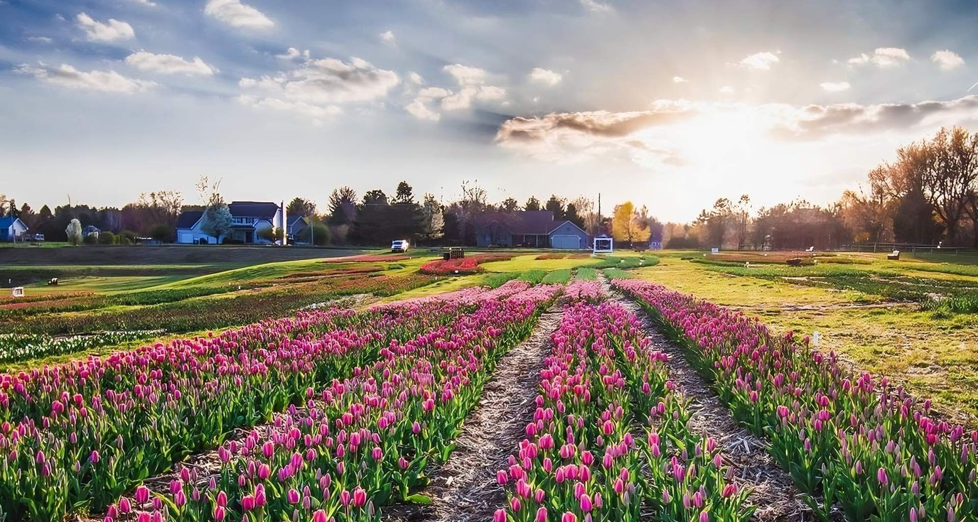 Things To Do In Illinois This Spring | Enjoy Illinois