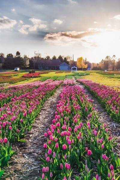Seasonal | Enjoy Illinois