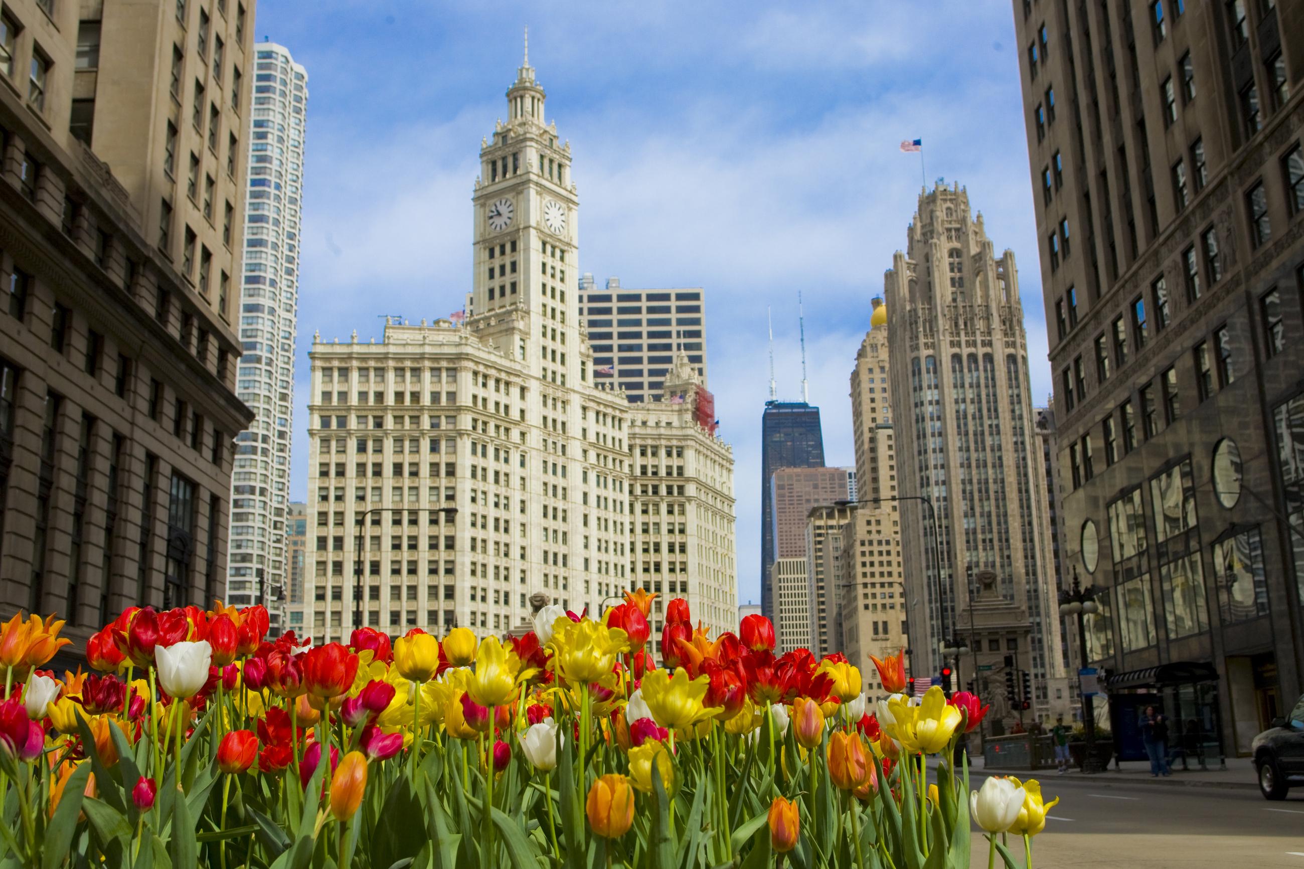 Springtime Activities in Chicago | Enjoy Illinois