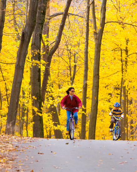 Illinois Fall Colors Trip Planner Map | Enjoy Illinois