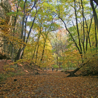 Illinois Fall Colors Trip Planner Map | Enjoy Illinois