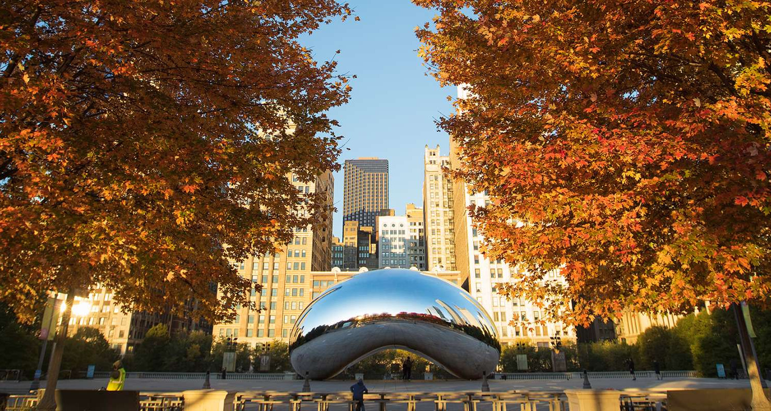 Fall in Chicago | Enjoy Illinois