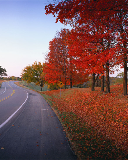 Illinois Fall Colors Trip Planner Map | Enjoy Illinois