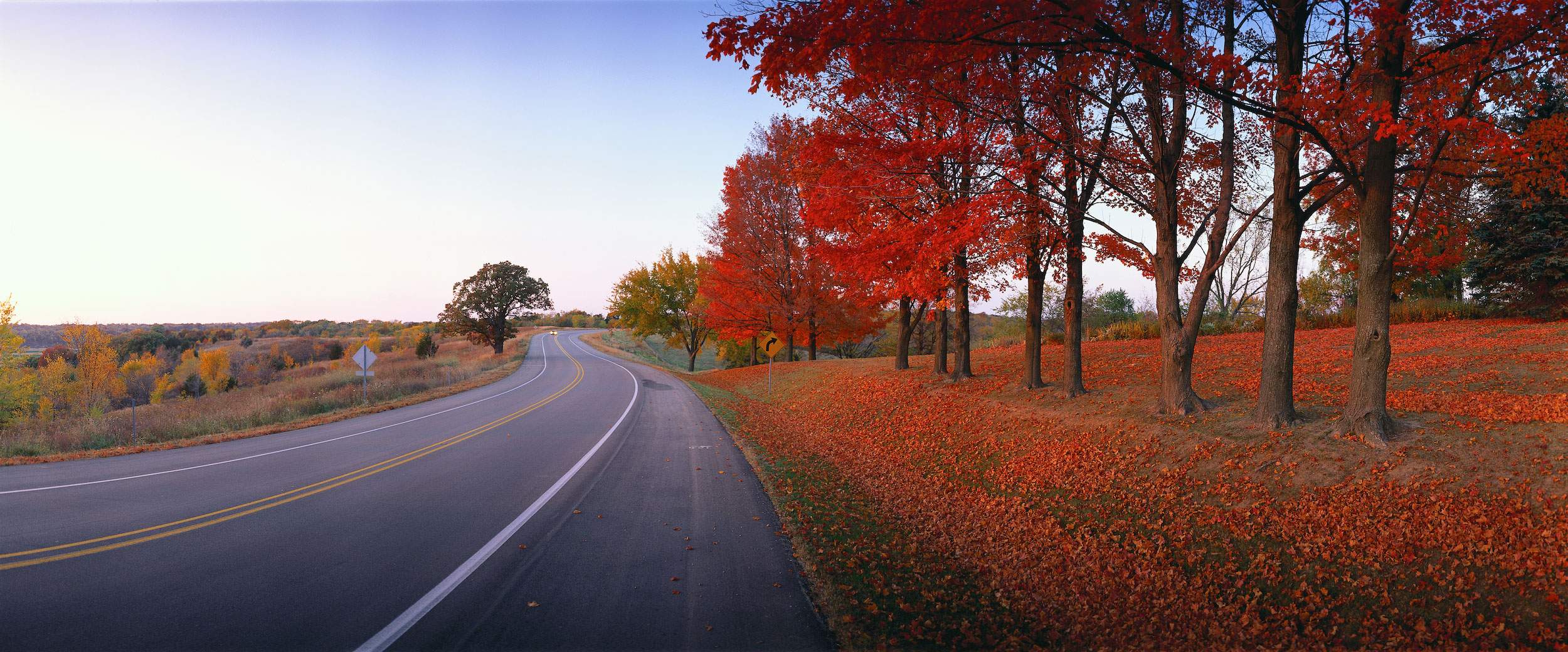 Illinois Fall Color Report | Enjoy Illinois