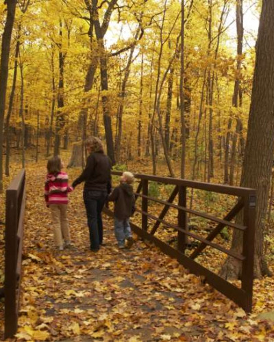 12 Places to View Fall Colors | Enjoy Illinois