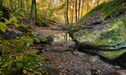 Illinois State Parks & National Forests | Enjoy Illinois