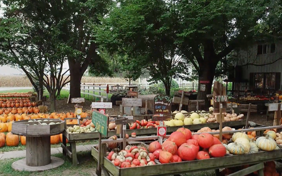 Fall in Illinois | Enjoy Illinois