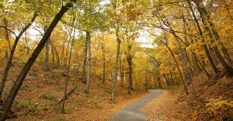 Best Hiking Trails in Illinois | Enjoy Illinois