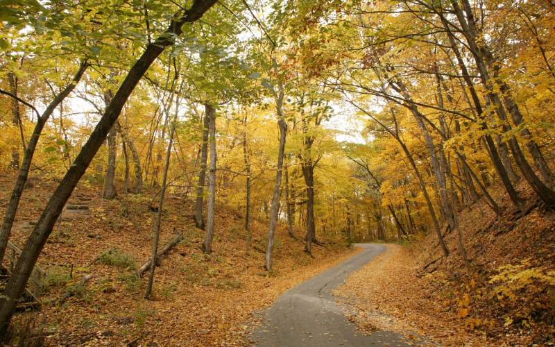 Best Hiking Trails in Illinois | Enjoy Illinois