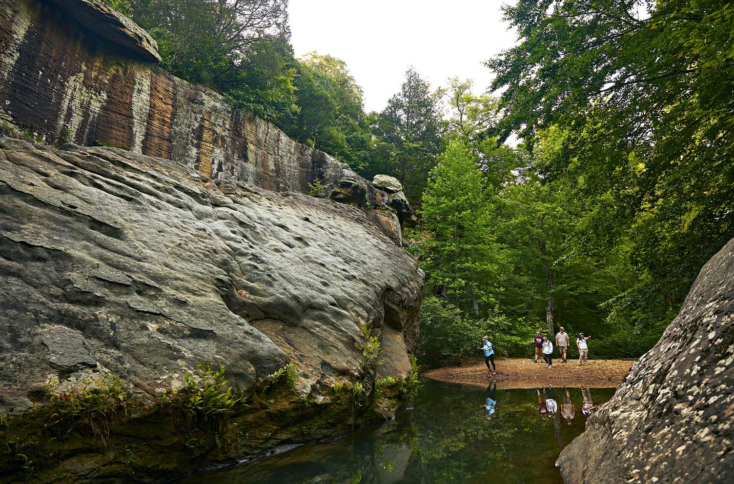 Making a Splash, Naturally | Enjoy Illinois
