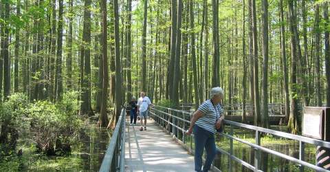 Best Hiking Trails in Illinois | Enjoy Illinois