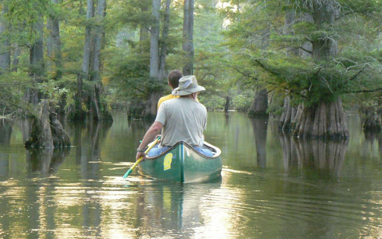 Cache River Wetlands – Illinois’ Hidden Bayou | Enjoy Illinois