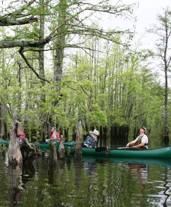 Canoeing & Kayaking in Illinois | Enjoy Illinois