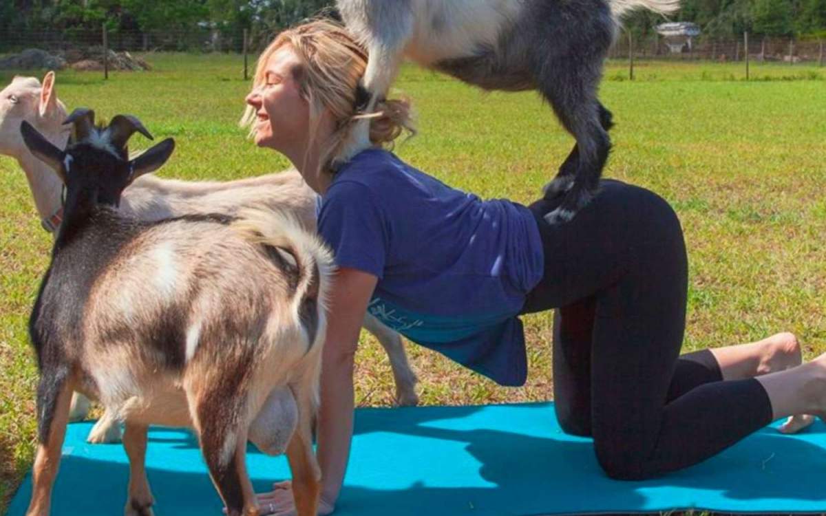 Wellness Inspired Getaways in Illinois | Enjoy Illinois