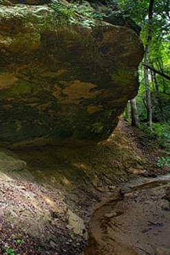 Rock Cave Nature Preserve - Unique in Central Illinois | Enjoy Illinois