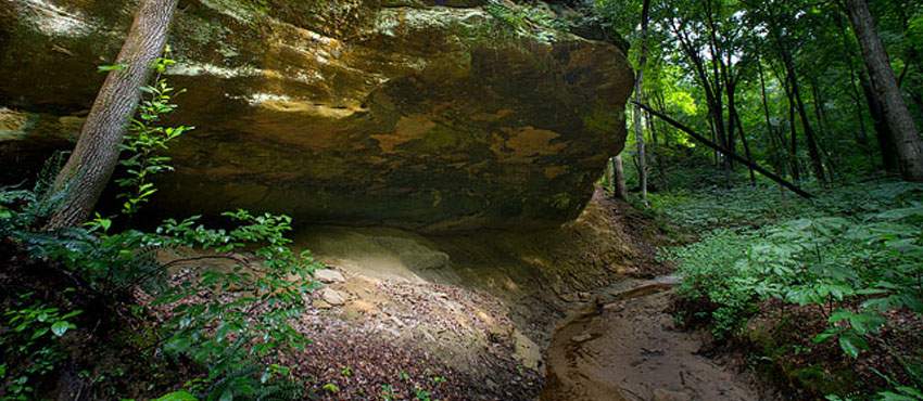 Rock Cave Nature Preserve - Unique in Central Illinois | Enjoy Illinois