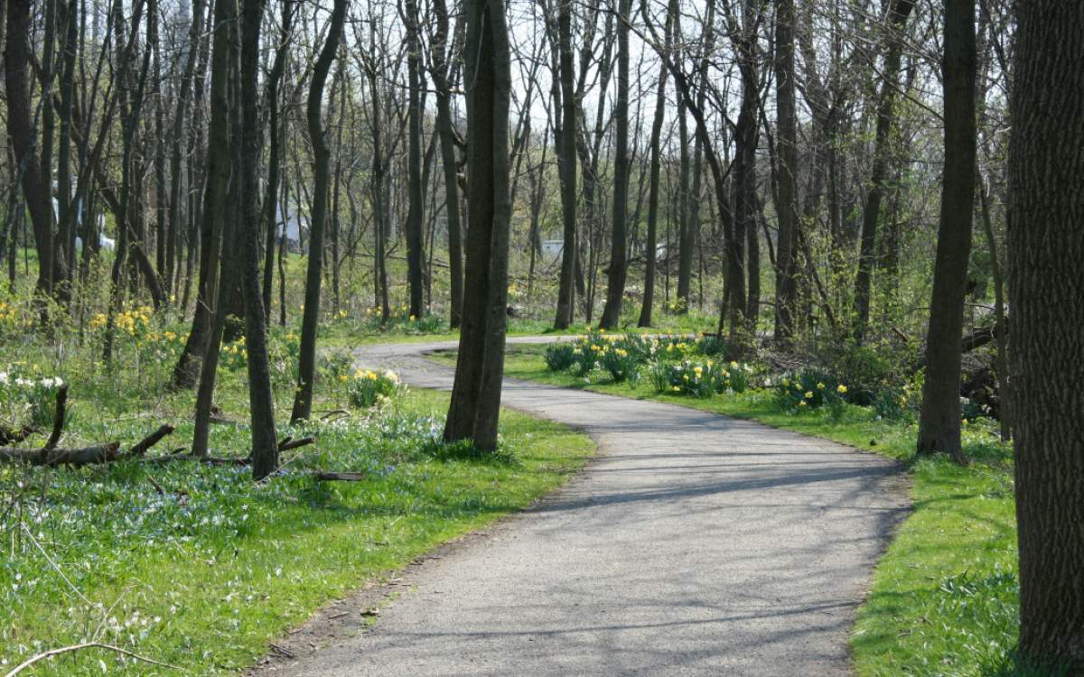 The Mountains of Illinois | Enjoy Illinois