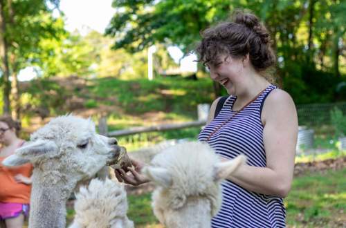 World Animal Day in Illinois | Enjoy Illinois