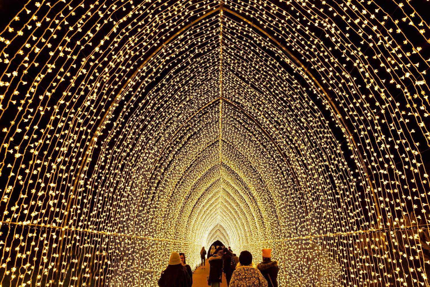 Holiday Season in Illinois | Enjoy Illinois
