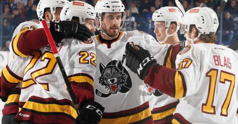 Minor League in Illinois | Enjoy Illinois