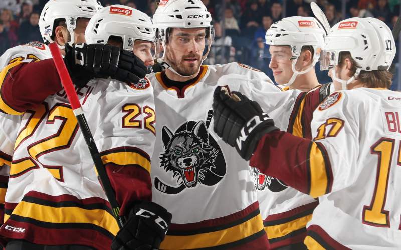 Minor League in Illinois | Enjoy Illinois