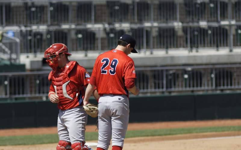 Minor League in Illinois | Enjoy Illinois