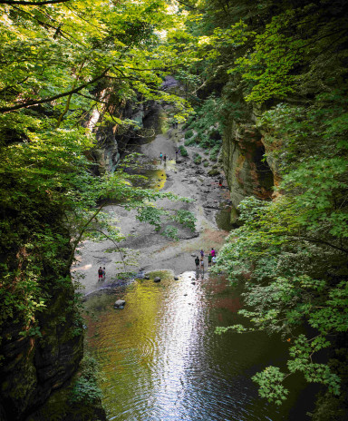 Illinois State Parks & National Forests | Enjoy Illinois